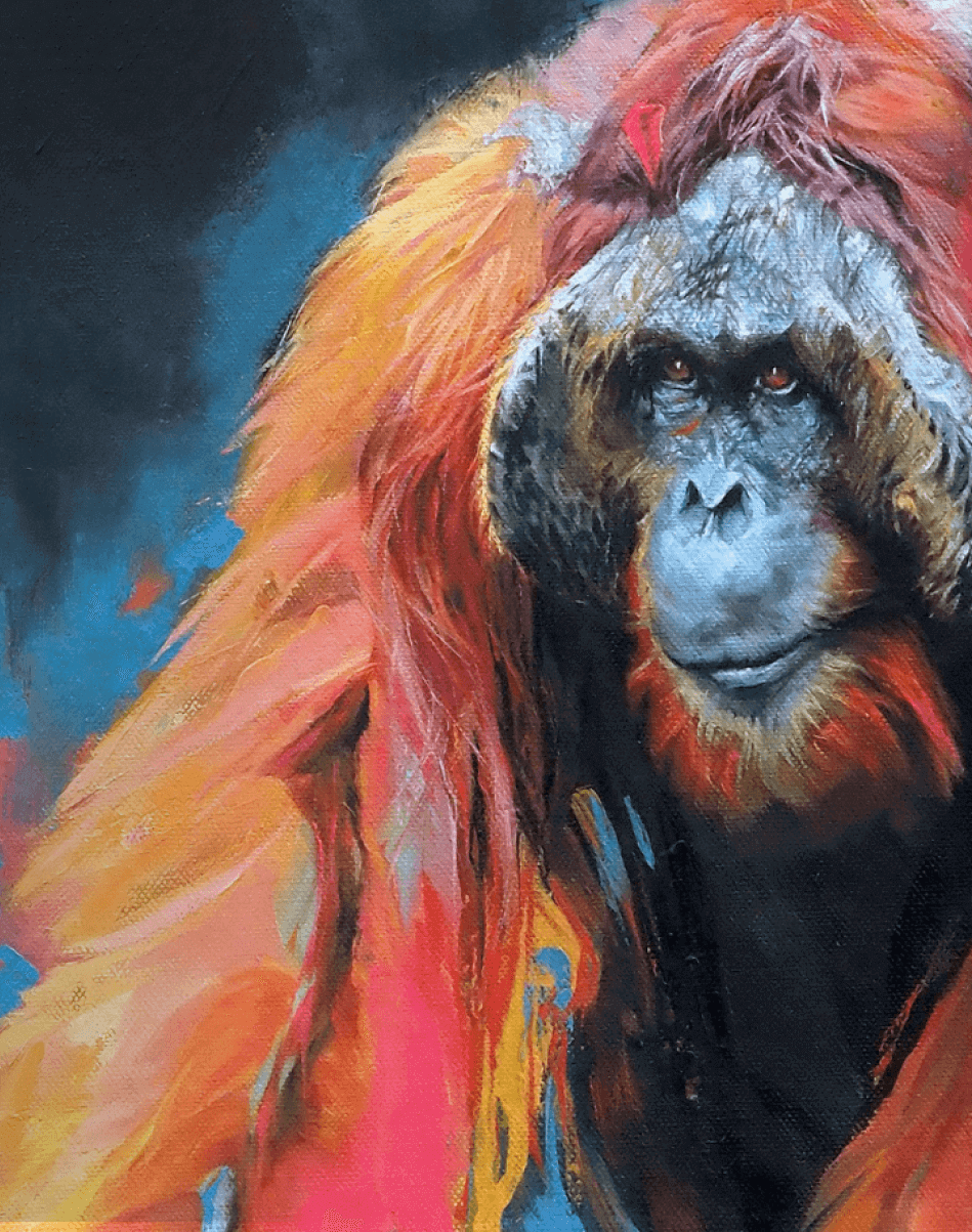 New Partnership – David Shepherd Wildlife Foundation